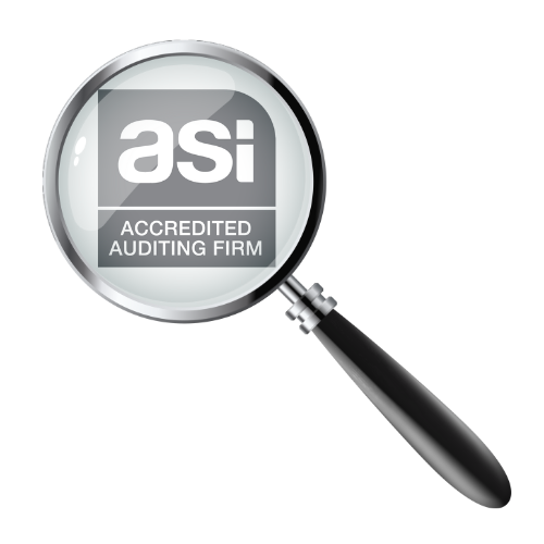 Adopting a risk-based approach during an ASI audit | Newsfeed/INSIGHT ...