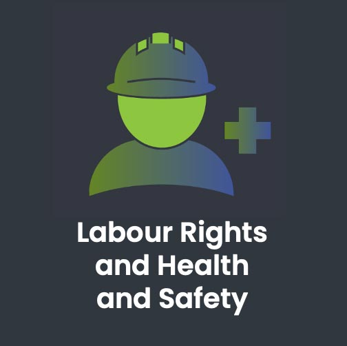 Labour and Health & Safety in ASI Certification: Trends, Hotspots and ...